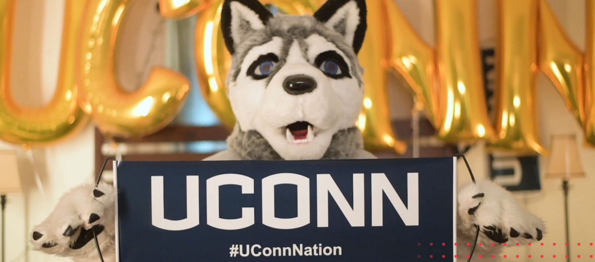 University of Connecticut Office of the Provost | Storrs- Campus Experience