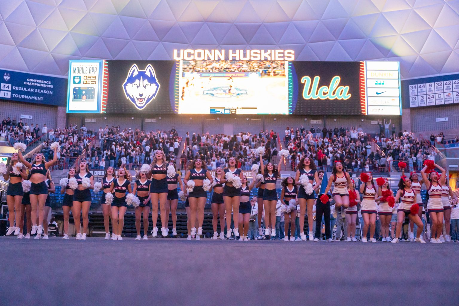 University of Connecticut Office of the Provost | Storrs- Campus Experience